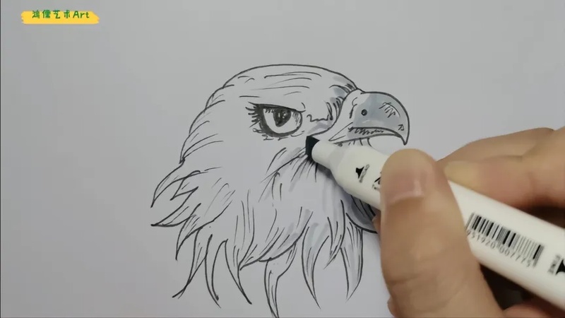 简笔画老鹰怎么画,快来一起学画吧!