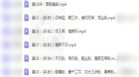 脸面部 刮痧 王敬 李道政 李湘授 张秀勤 课程 视频教程