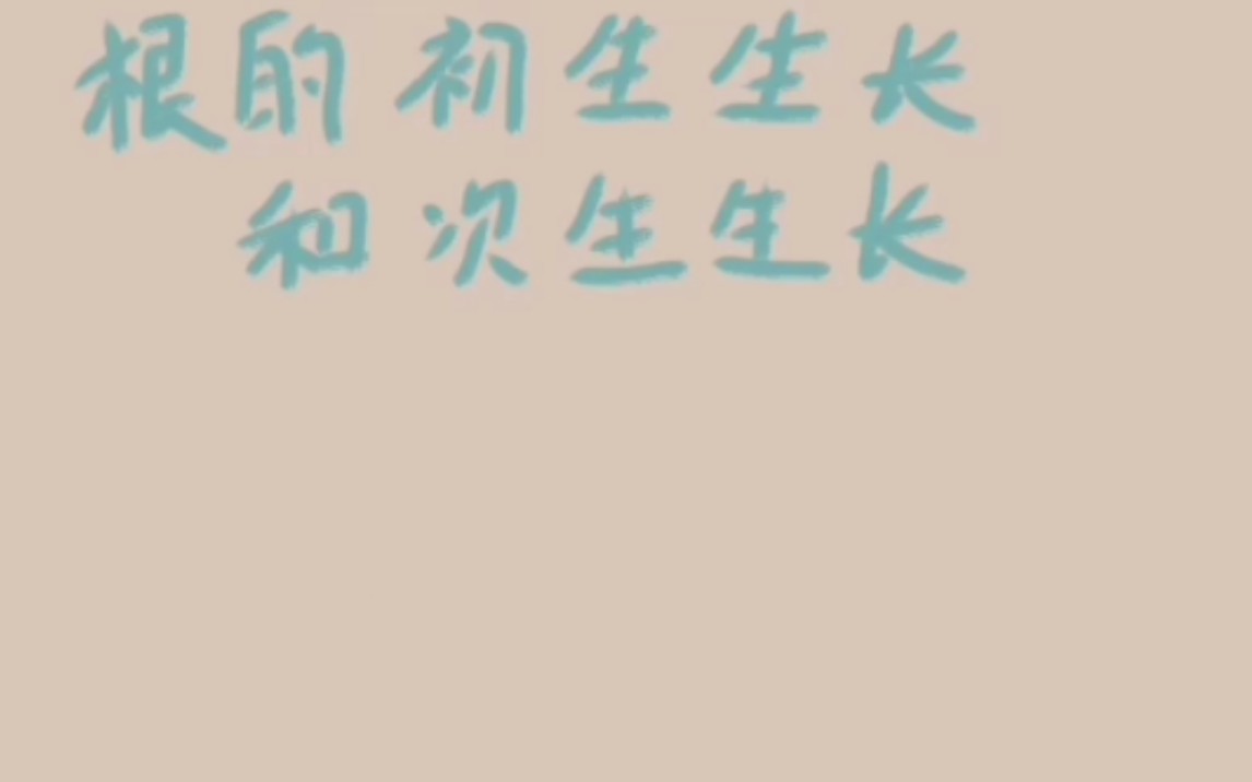 【植物学】根的初生生长和次生生长