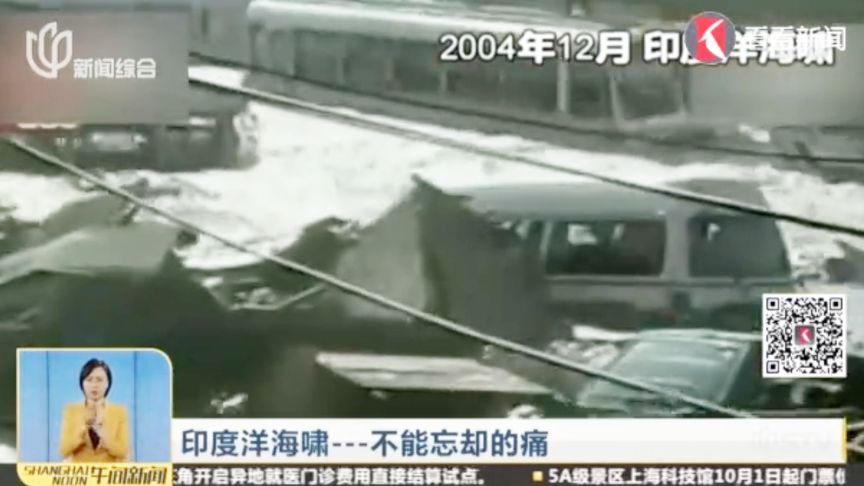 回顾2004年印度洋海啸 造成29万死亡或失踪 100万人无家可归!