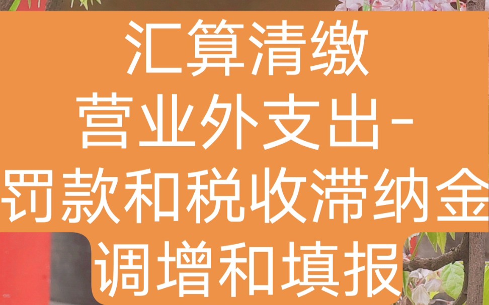 汇算清缴-营业外支出-罚款和税收滞纳金(企业所得税)税前调增和填列