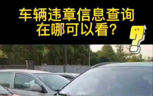 车辆违章信息查询在哪可以查?