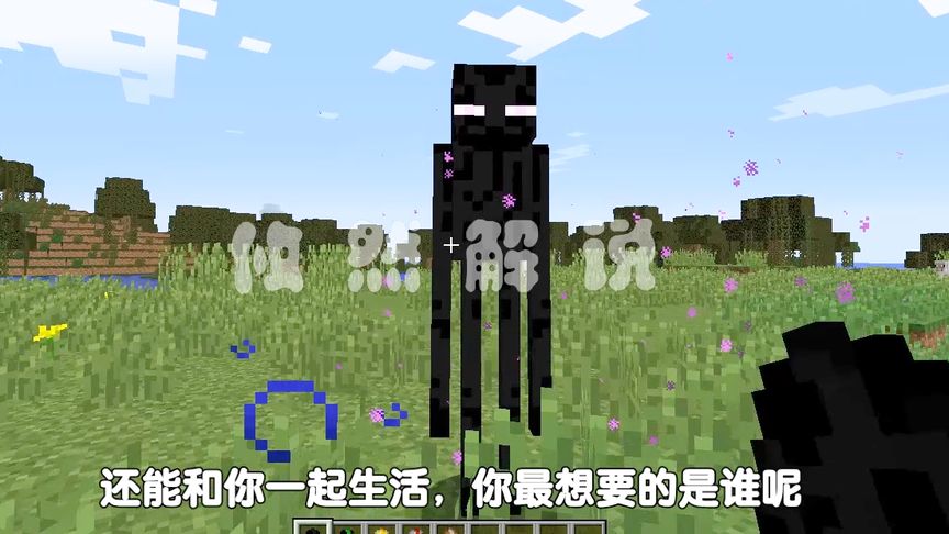 我的世界:这些生物可以驯服,你最想养谁?小黑小怕成功上榜!