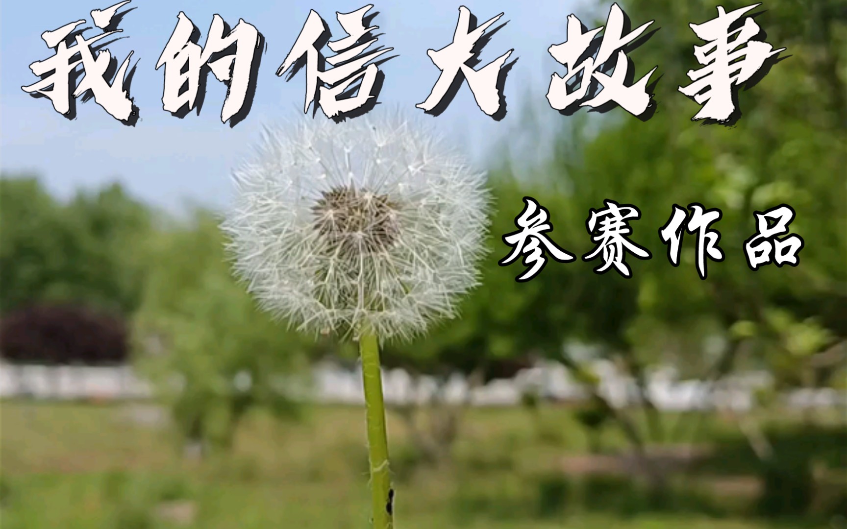 南京信息工程大学,我的母校,我的信大故事