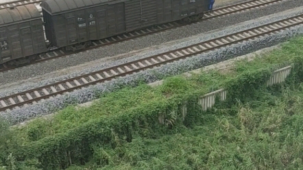 南通海安站出差看火车