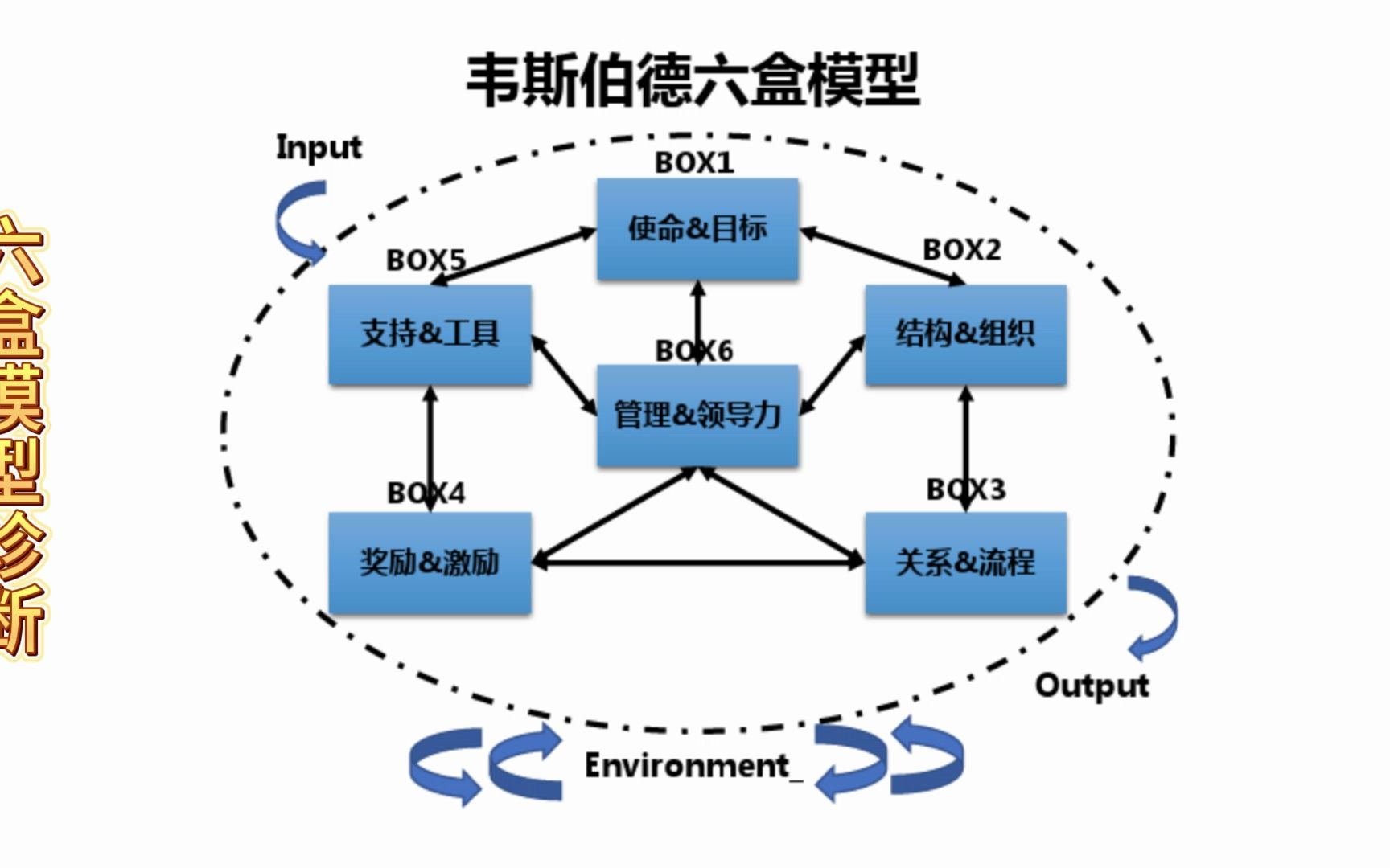 什么是六个盒子?如何用六盒模型进行组织诊断?