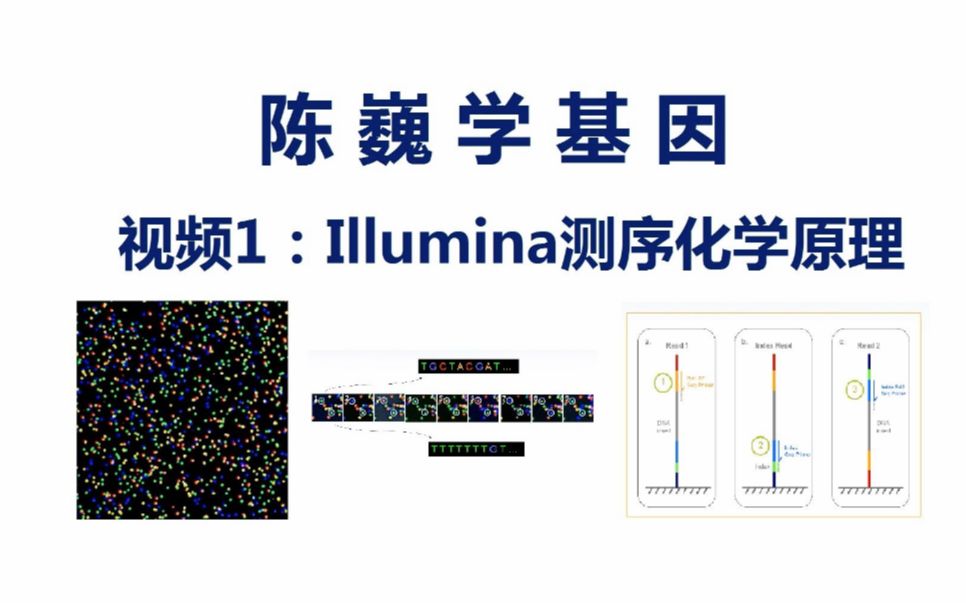 【陈巍学基因】视频1:Illumina测序化学原理