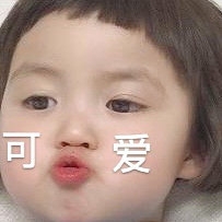 聪明机智的劉小寳 