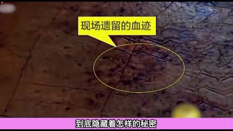 城管执法被刺事件,因与烧烤店老板起冲突,导致城管中队一死八伤