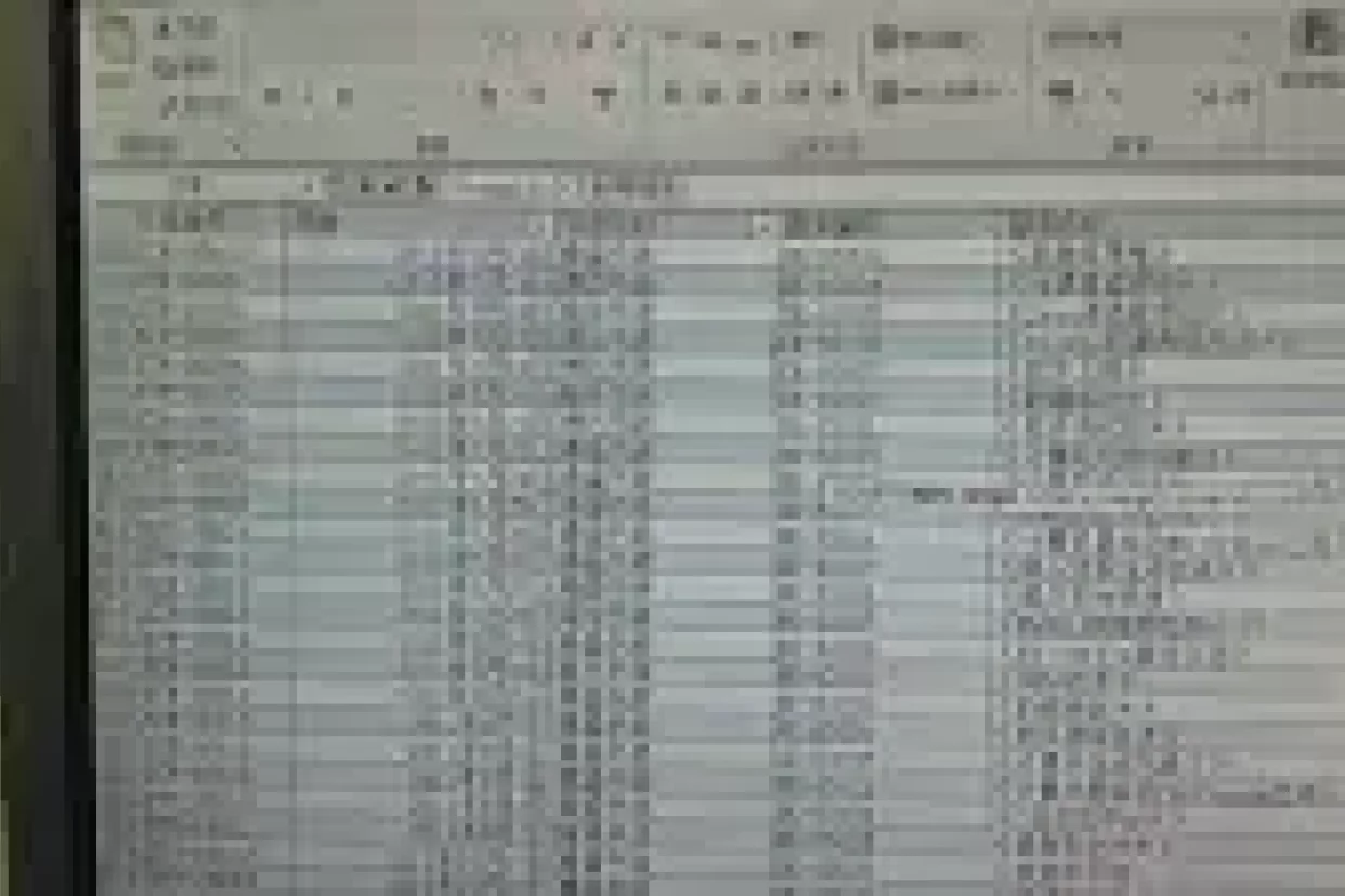 销售订单明细表(excel)