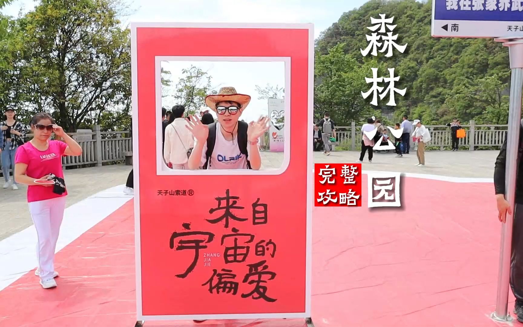 张家界国家森林公园完整攻略来啦~三分钟带你们了解这个巨大的第一...
