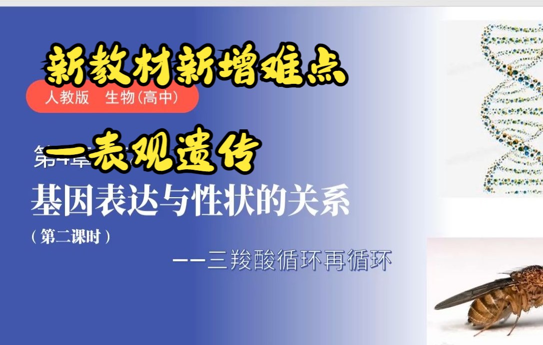高中生物必修二新增知识点——表观遗传