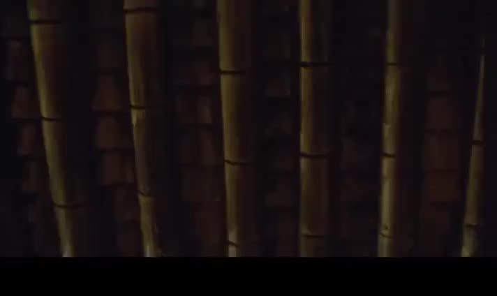 《铜雀台》删减片段 苏有朋被伊能静霸王硬上弓