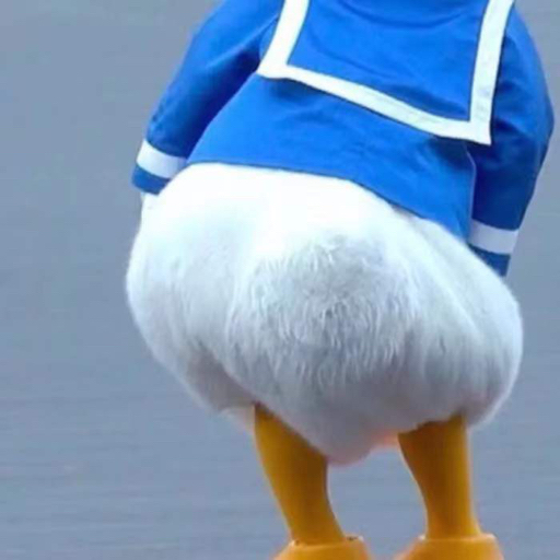 贝壳r可爱多do 