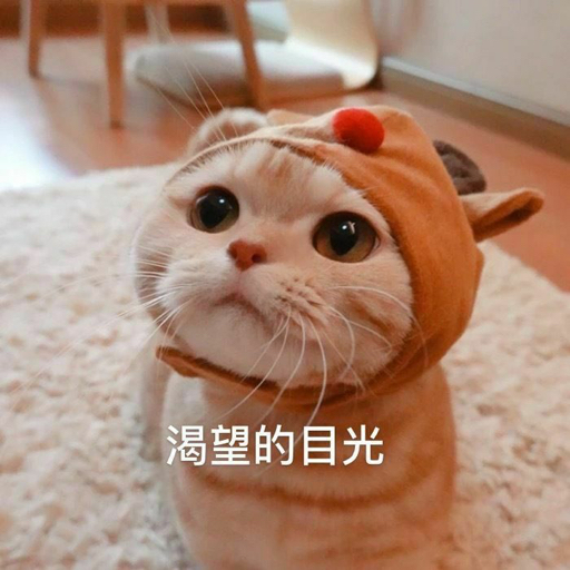 小余钓喵 