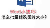 Word小技巧:怎么批量修改图片大小?