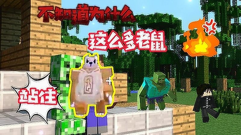 我的世界:这里老鼠太多了,先跑,不知道为什么这么多老鼠