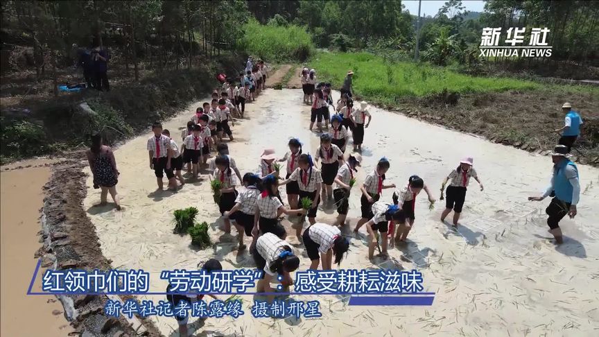 红领巾们的“劳动研学”：感受耕耘滋味