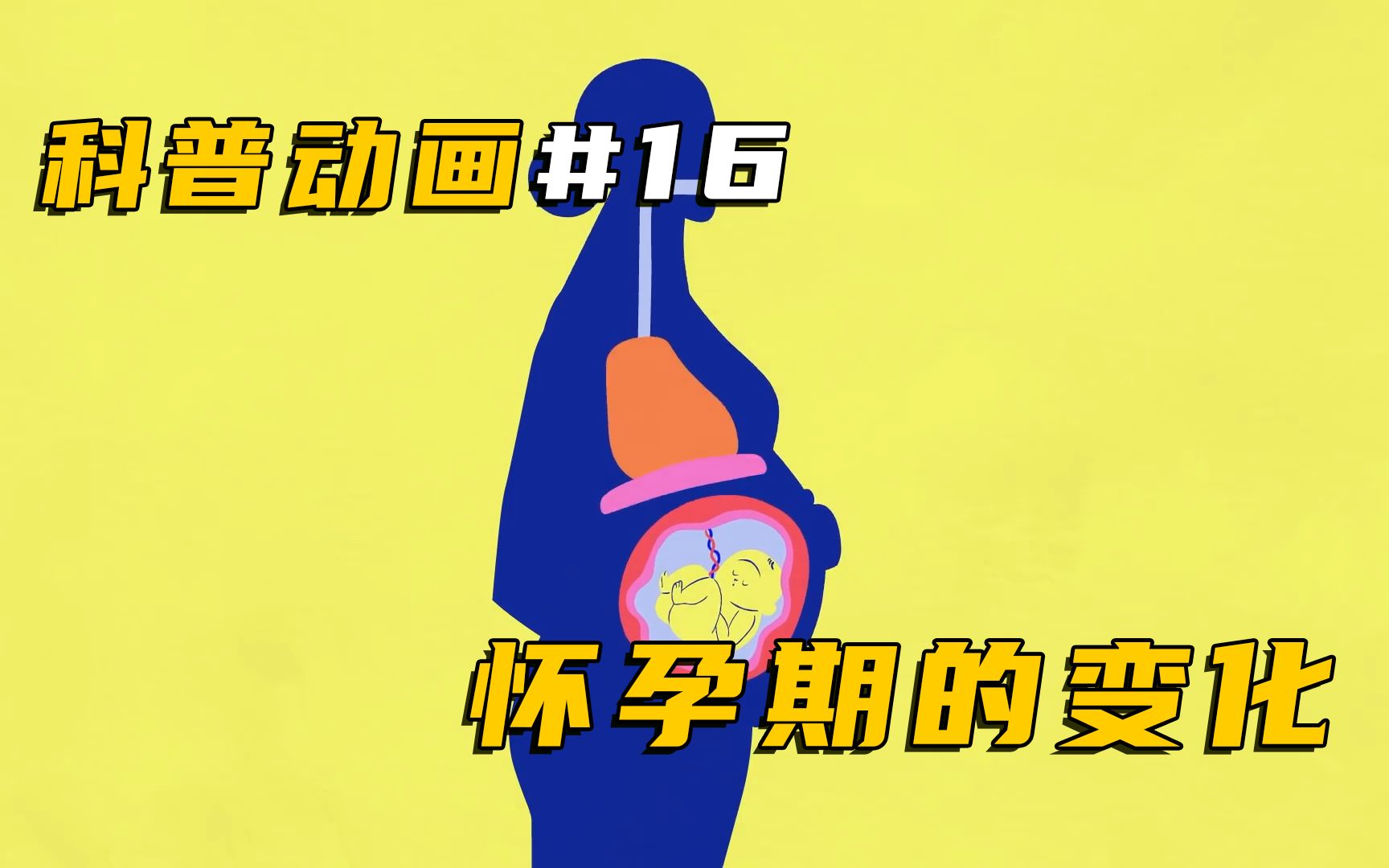 动画详解女性怀孕过程,看着让人心疼,看完感慨女性伟大!