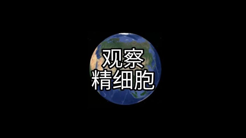 #显微镜下的世界 #显微镜 #微观世界 #探索