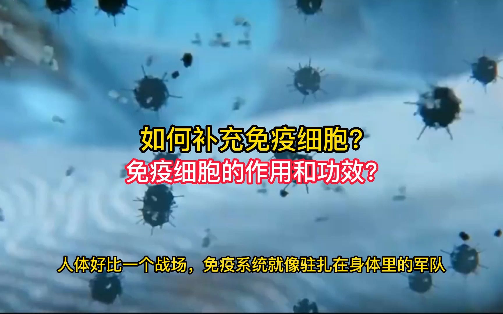 如何补充免疫细胞?免疫细胞的作用和功效?#免疫细胞回输 #NK细胞
