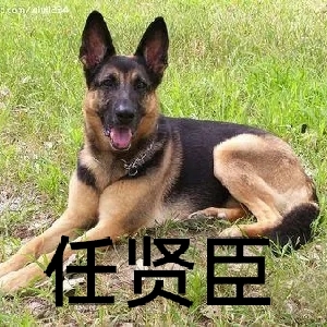 吴神 
