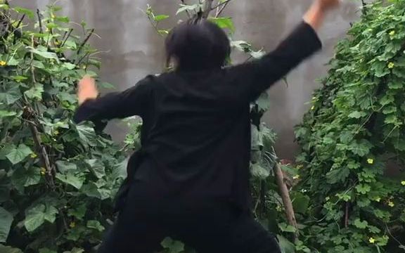 (五步拳)武术入门拳法,简单易学,下个视频发慢动作教学!