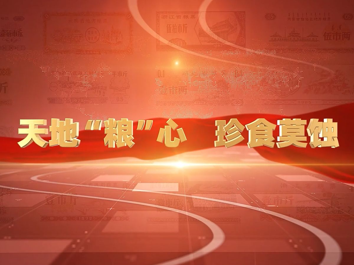 第八届全国大学生网络文化节光影趣青春—— 小小“粮票”见证时代...