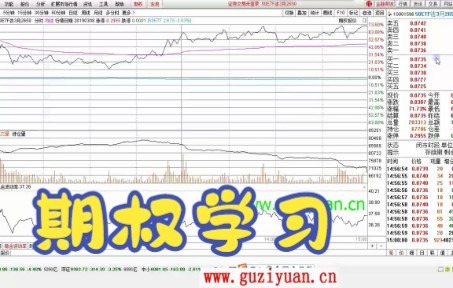 第03讲-【基础】影响期权价格的相关因素