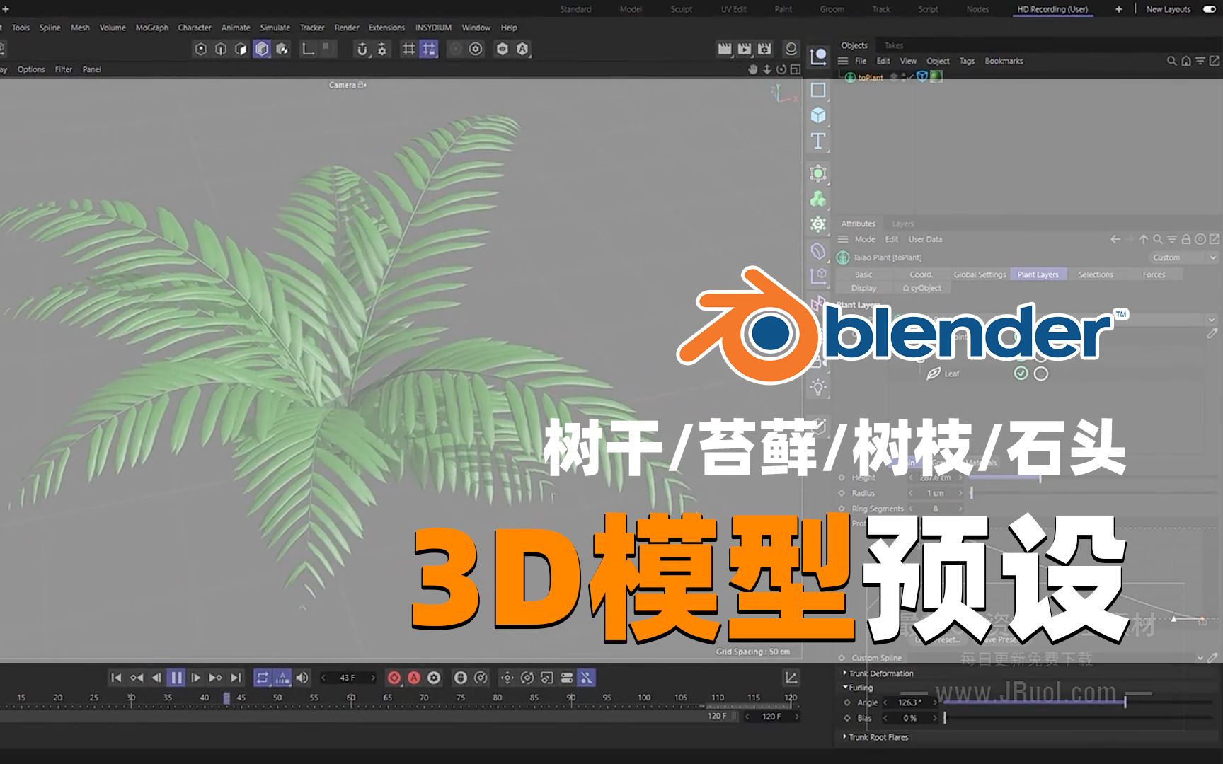 3D模型-树干、苔藓、树枝、石头模型预设FBX/OBJ/Blenderr模型分享