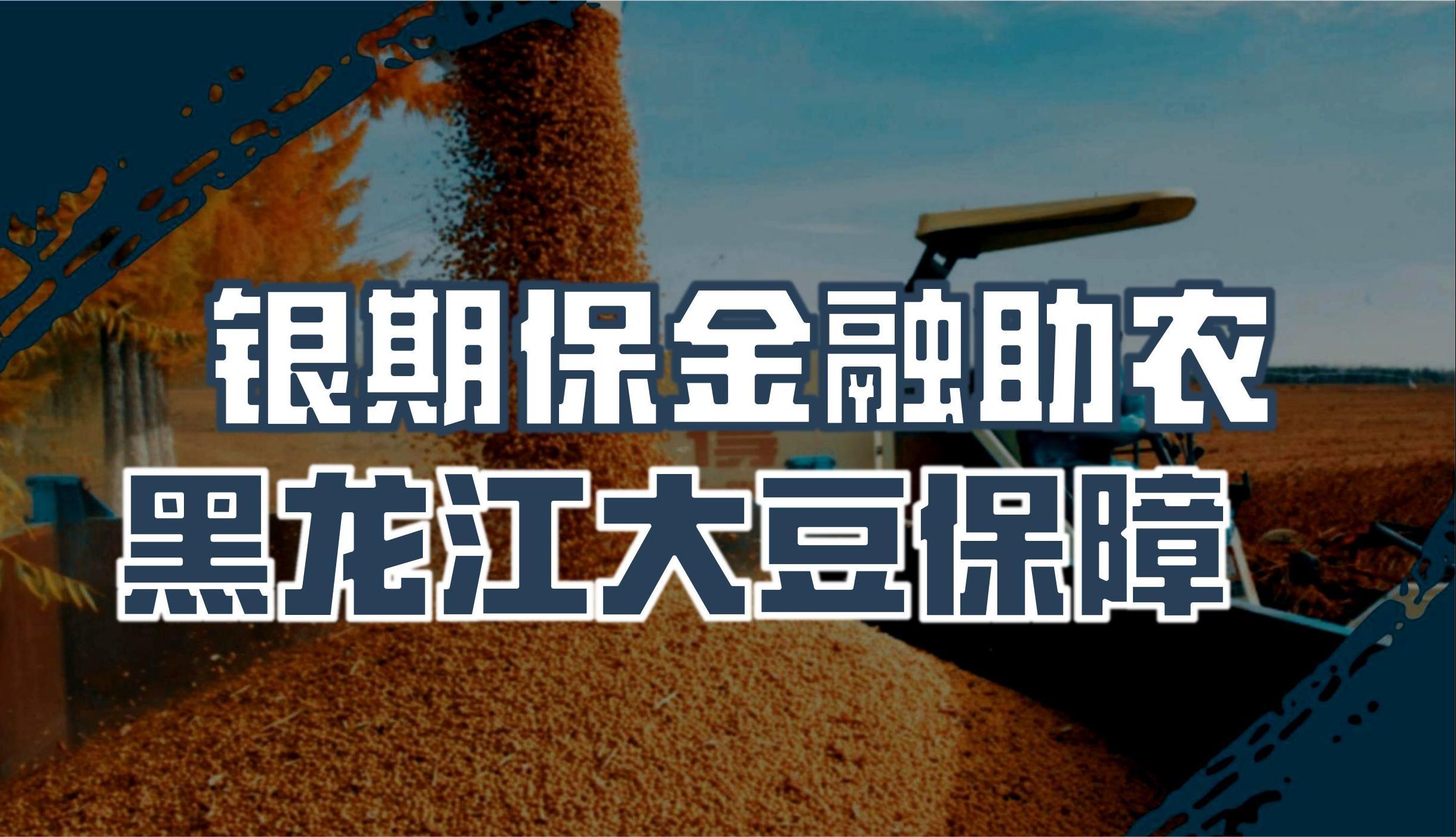 黑龙江密山市 |“银期保”金融创新助力三农,保障农业生产。