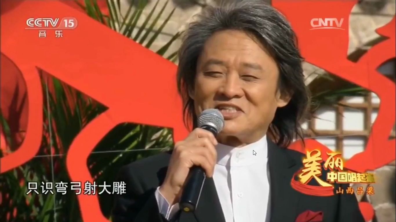 【徐涛】沁园春·雪