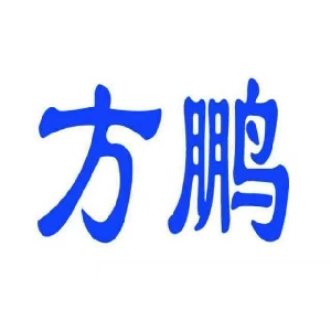 方鹏公司 