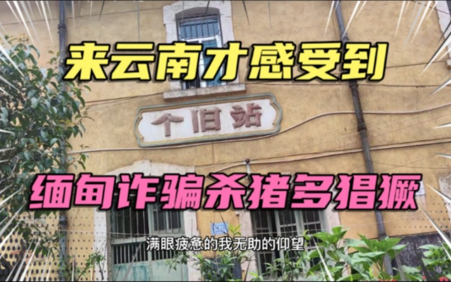 来云南才知道在缅甸电信诈骗有多疯狂,把银行电信硬生生逼着这样