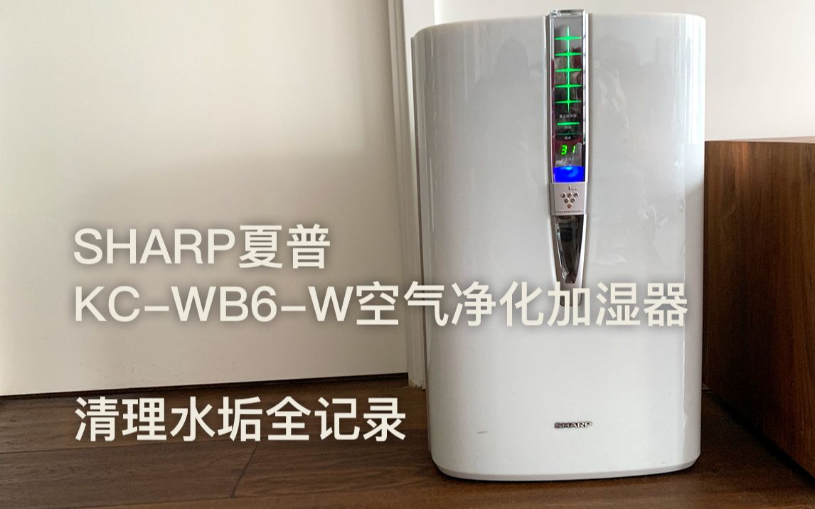 惊到了,空气加湿器里的水垢居然这么多!看我如何清理它!