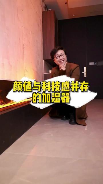 您的房子里有加湿器吗?是什么样子的?设计,装修,灯光设计