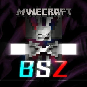 BSZ团队官号 