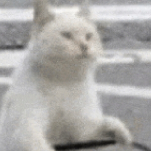 我想开粉红色车车 