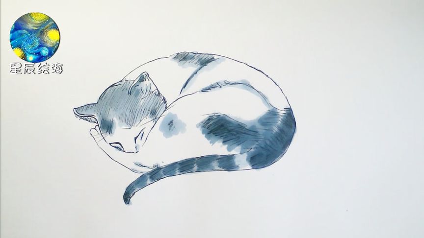 50种猫的画法,画完什么猫都会画-6