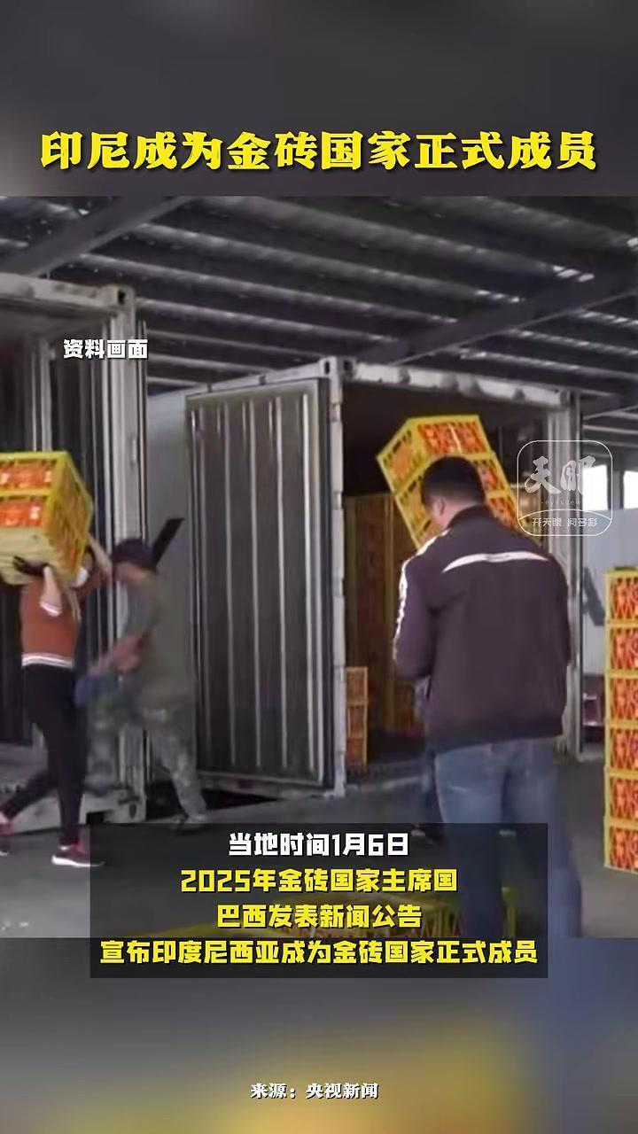 印尼成为金砖国家正式成员(来源:央视新闻制作:郭芳霞)