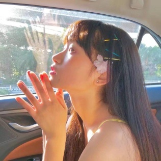 金粉动漫 