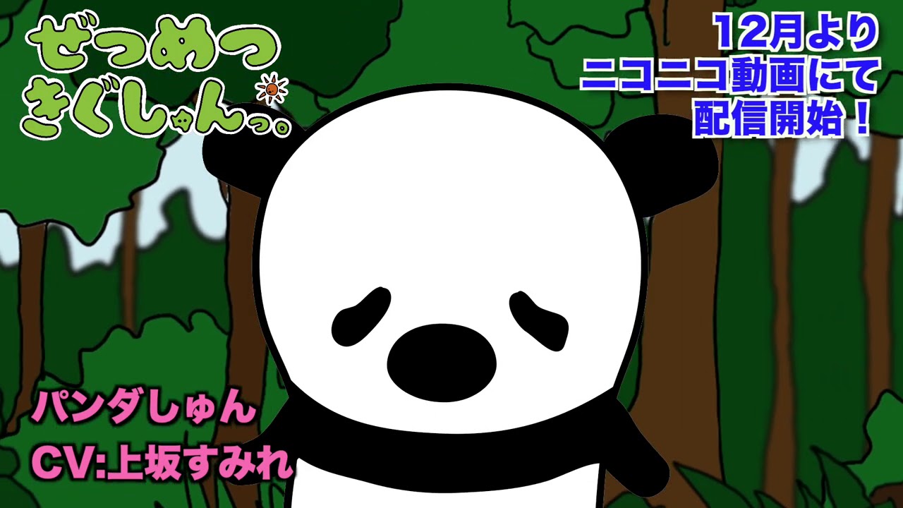 动画《濒危物种》熊猫的自我介绍(CV:上坂堇)