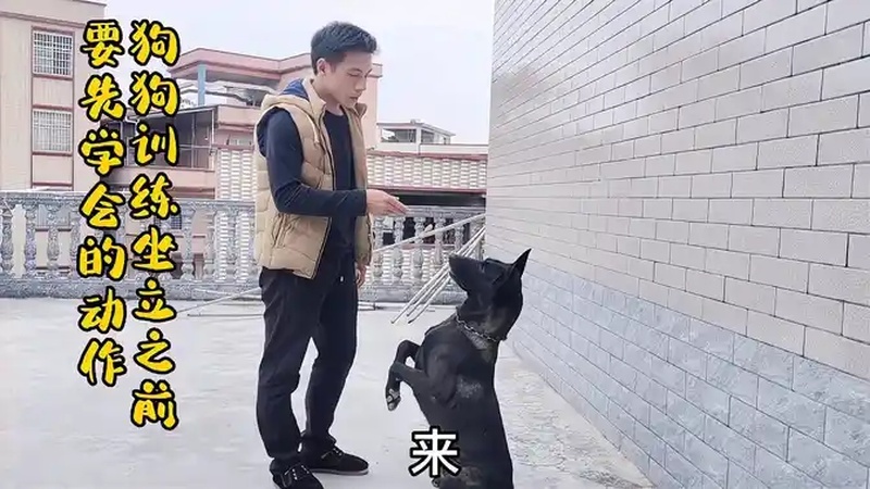 上次狗狗中毒挺过来了,试了试没啥后遗症