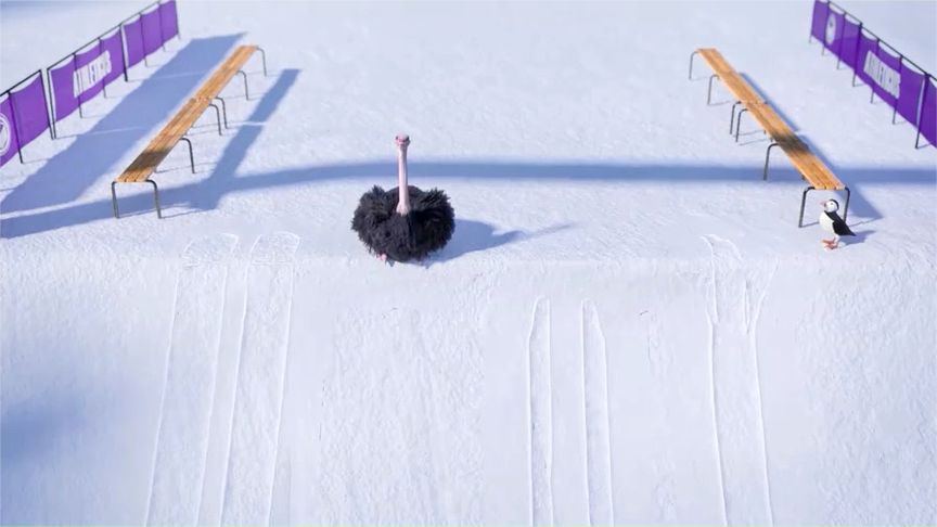 爆笑动物运动会 比赛没事干,顺便下个蛋