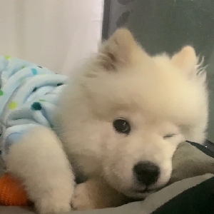 一点儿王木木 