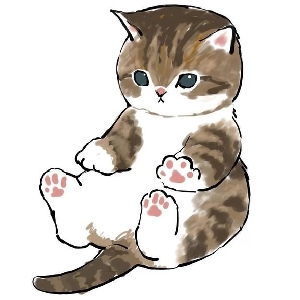 只喵猫 