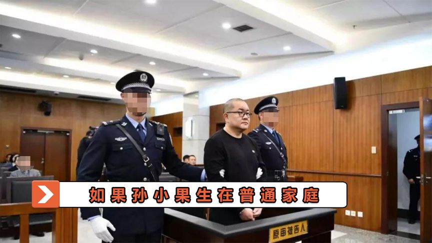 孙小果多次犯下重案,央视曝光案件内幕,继父:走后门是能力体现