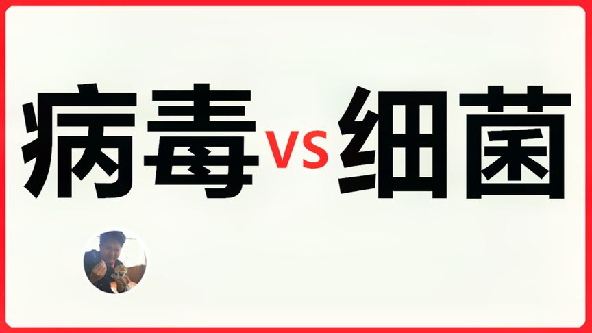 一次讲清病毒与细菌的区别【由来游趣】
