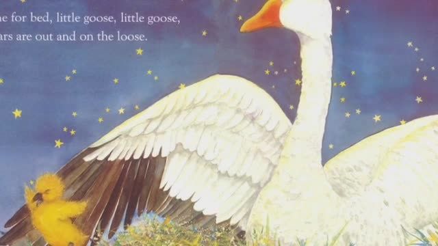 孩子不肯好好睡觉?快陪她读这本英文启蒙绘本《Time For Bed》吧