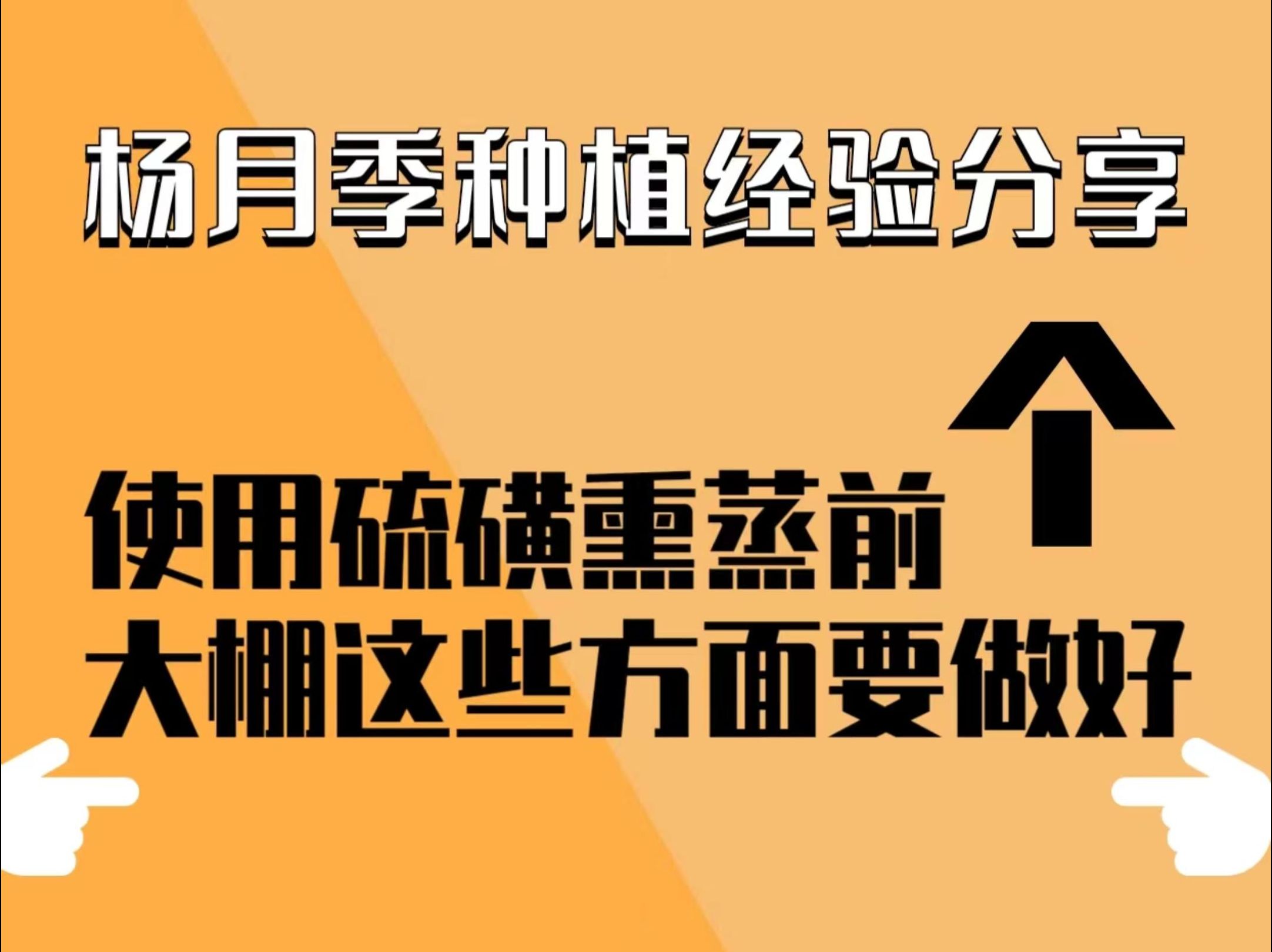 杨月季种植经验分享:使用硫磺熏蒸器前大棚这些方面要做好